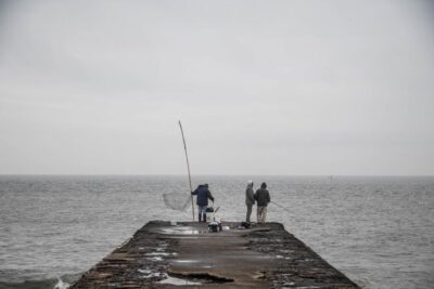 Pier Fishing Tips For Beginners: Bait And Tackle – All Fishing Gear