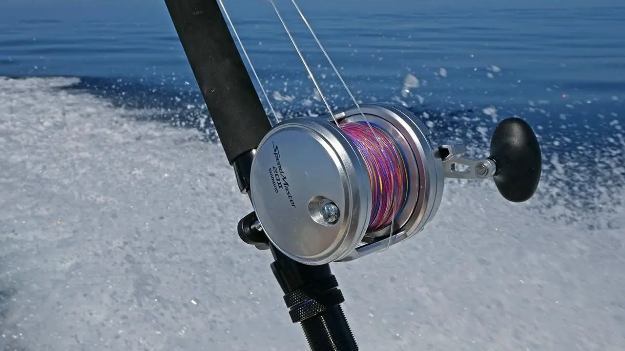 Compact Shimano SpeedMaster Conventional Reel Review For Deep Sea Fish ...