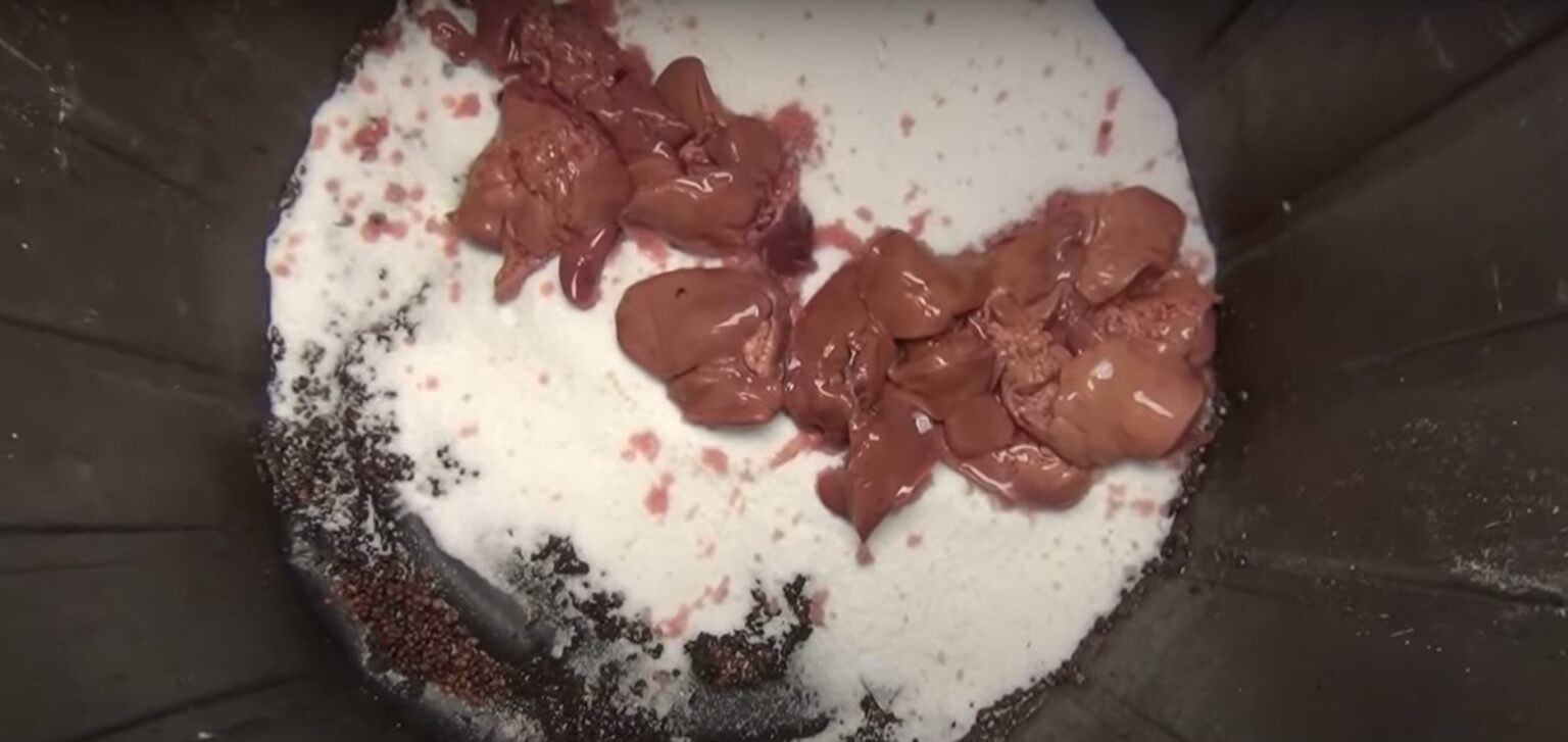 What Is Fish Chum? Chumming Beginner Guide – All Fishing Gear