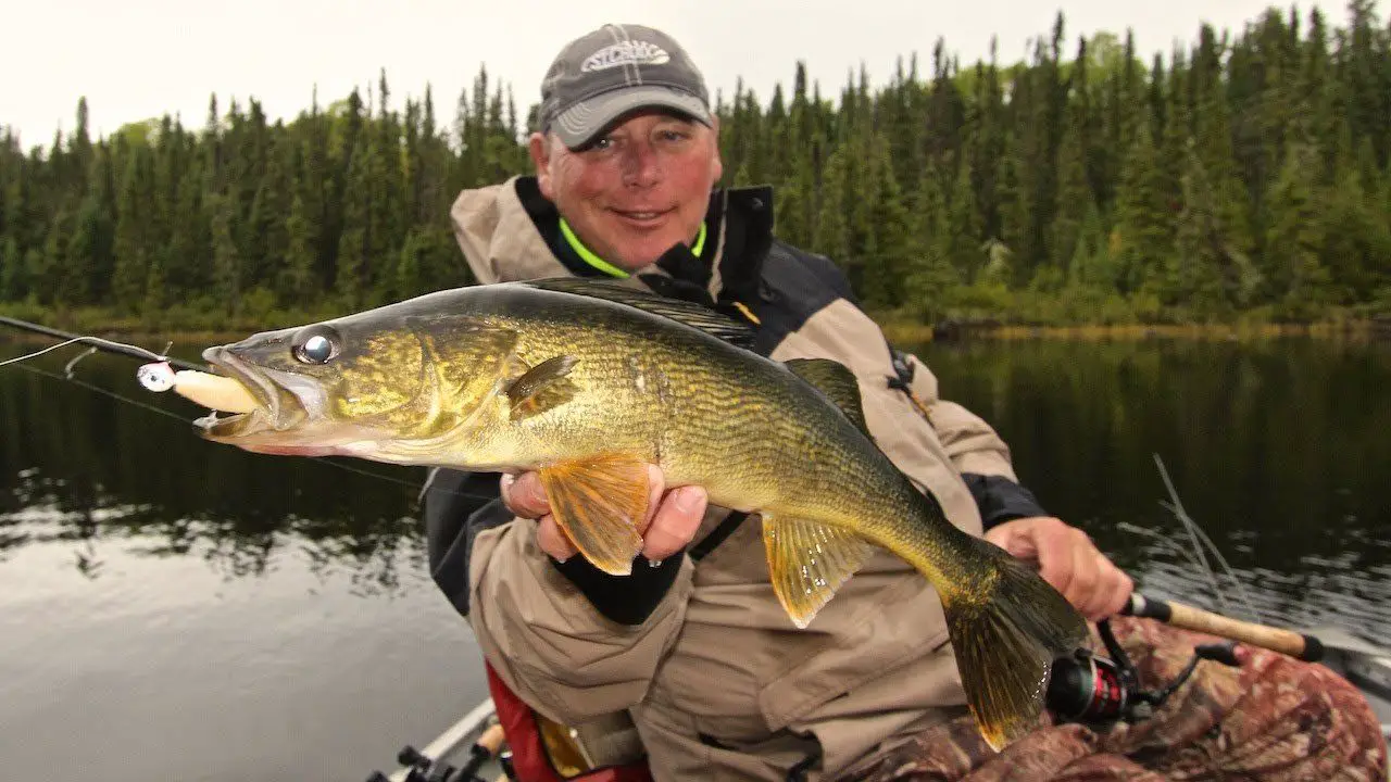 What Is The Best Color Fishing Line For Walleye? – All Fishing Gear