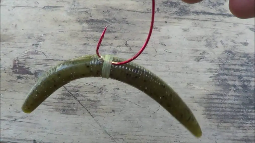 5 Plastic Worm Rigs For Bass You Should Know – All Fishing Gear