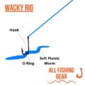 5 Plastic Worm Rigs For Bass You Should Know – All Fishing Gear