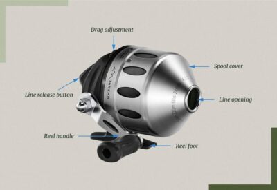 How Does A Spincast Reel Work? Internal Mechanisms Explained – All ...