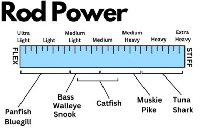 Fishing Rod Power Chart: Ultra-Light To Extra-Heavy – All Fishing Gear