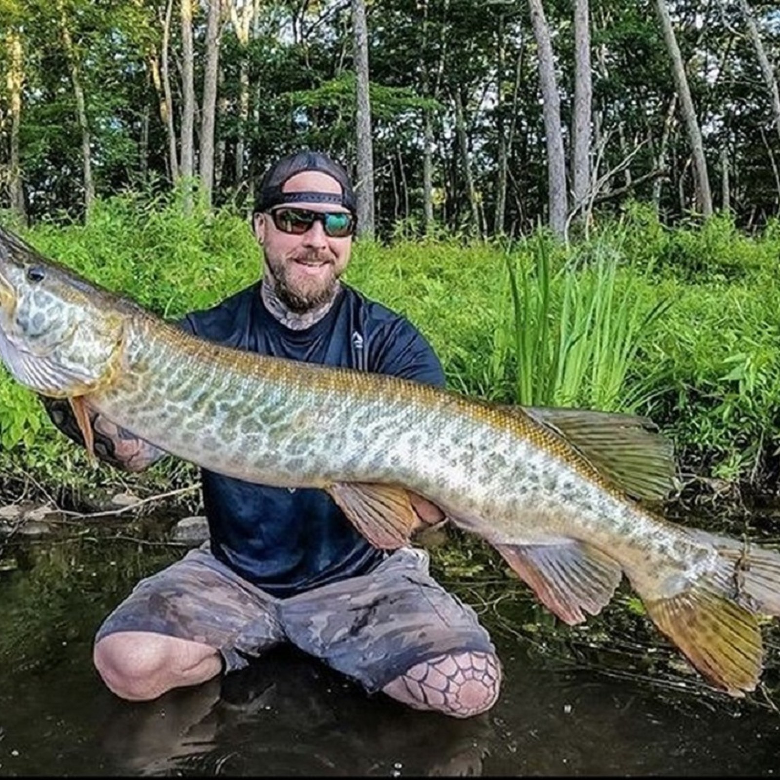 What Is The Best Musky Baitcasting Reels? – All Fishing Gear