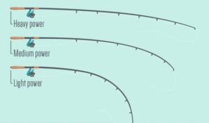 Fishing Rod Power Chart: Ultra-Light To Extra-Heavy – All Fishing Gear
