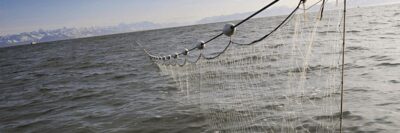 Fishing Net Size Chart – All Fishing Gear