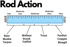9 Essential Parts Of A Fishing Rod: Explained – All Fishing Gear